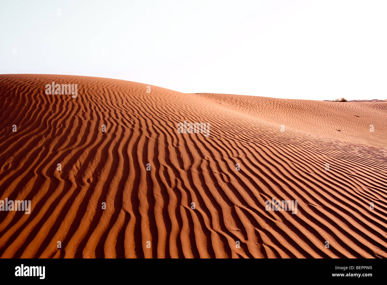 Open desert hi-res stock photography and images - Alamy