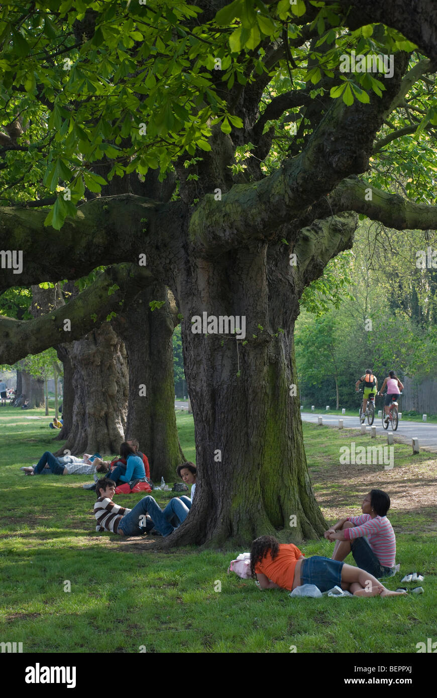 Relaxing under trees Stock Photo - Alamy