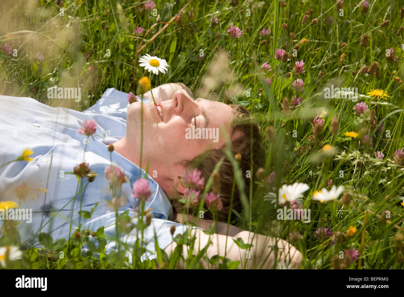 man lying in grass with spring flowers Stock Photo - Alamy