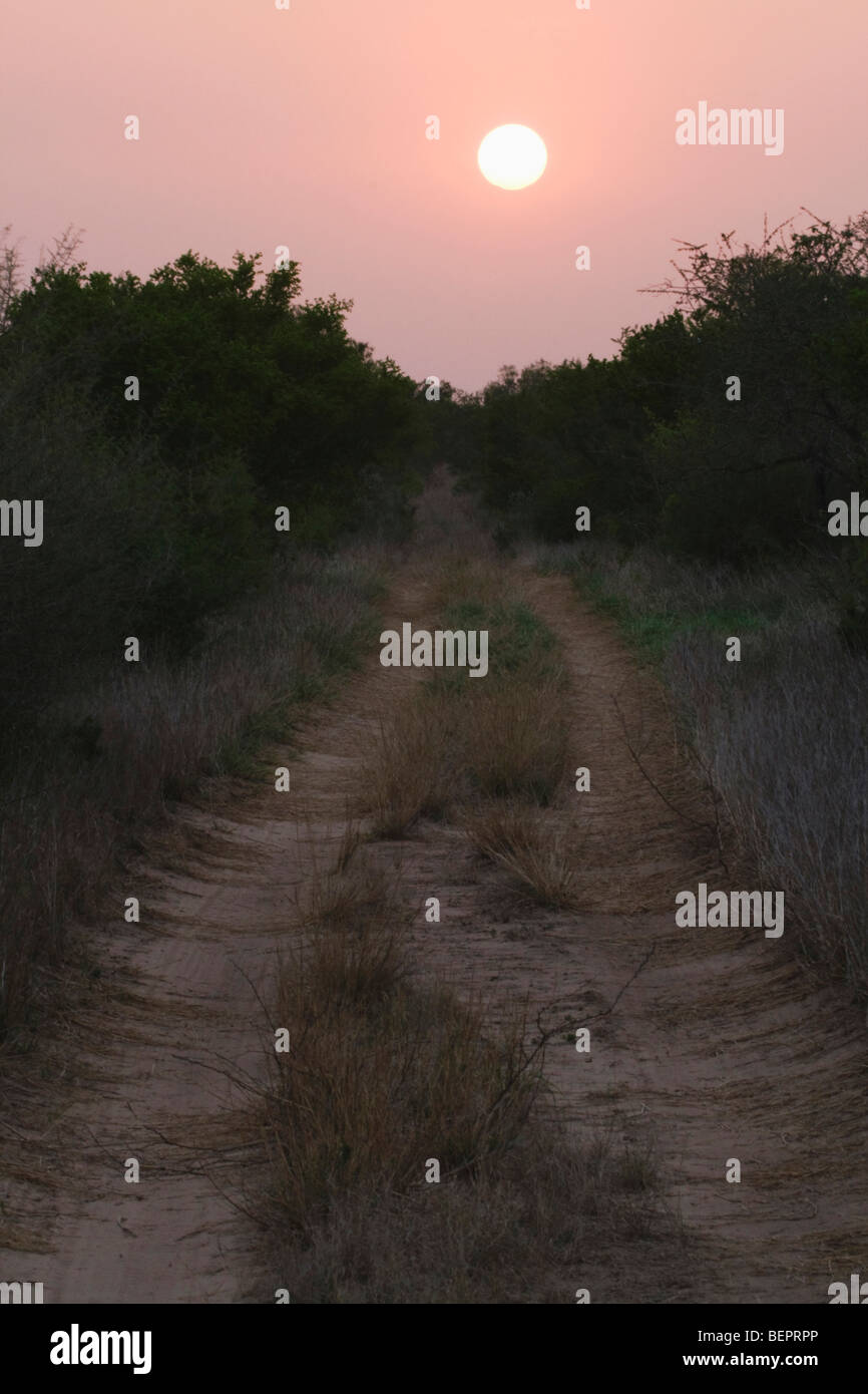 Ranch Road at sunset, Rio Grande Valley,Texas, USA Stock Photo - Alamy