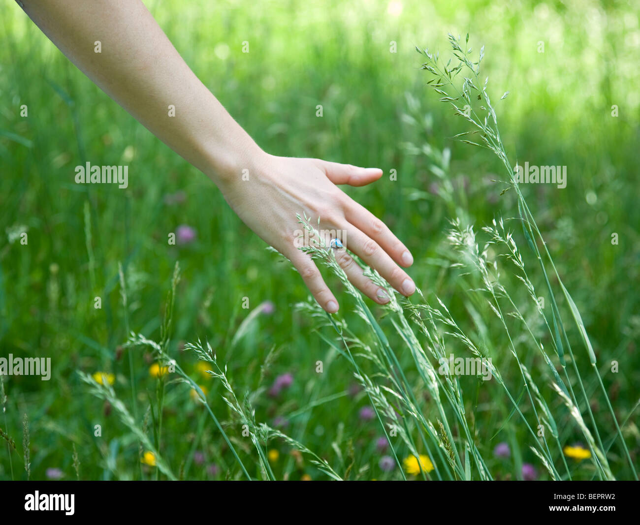 woman running hand through grass Stock Photo - Alamy