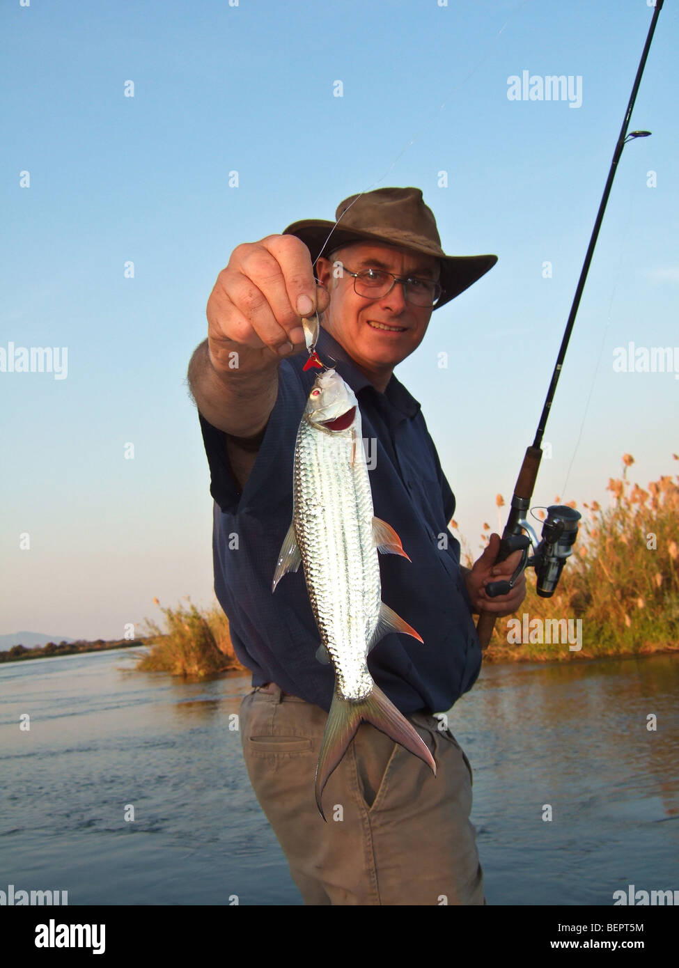 Small tiger hi-res stock photography and images - Alamy