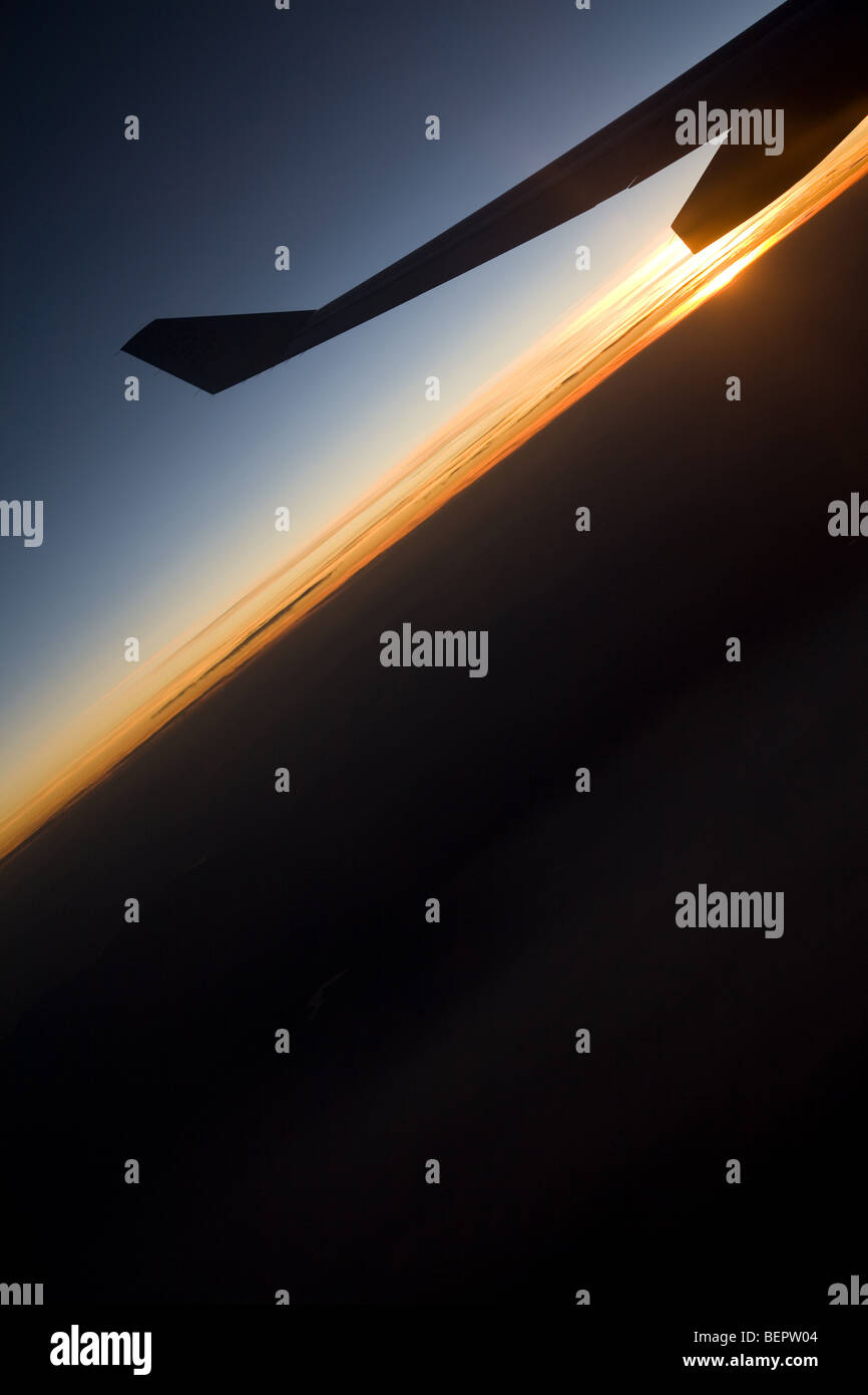 Wing of a hi-res stock photography and images - Alamy