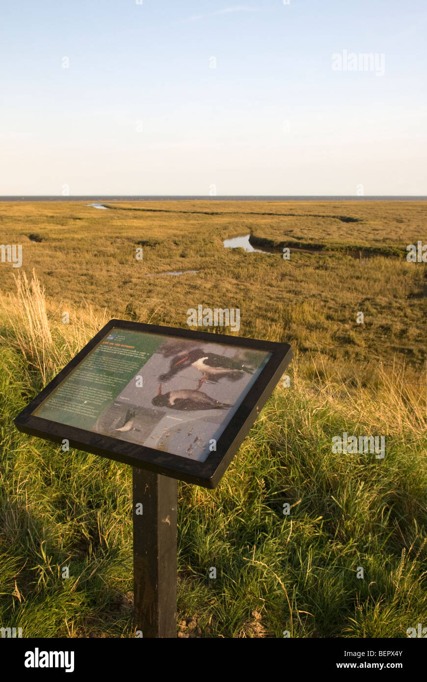 RSPB Freiston Shore nature reserve, The Wash, Lincolnshire, England ...