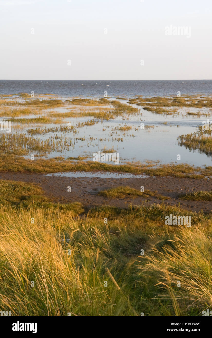 RSPB Freiston Shore nature reserve, The Wash, Lincolnshire, England ...