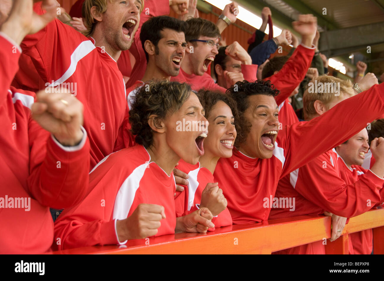 Fans celebrating at football match Stock Photo - Alamy