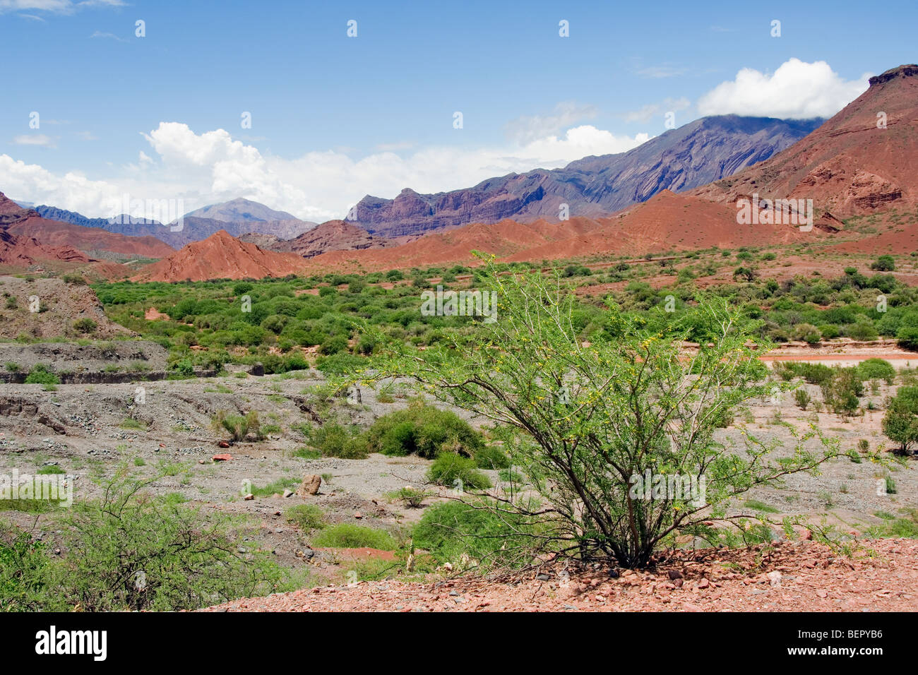 Calchaquí valley hi-res stock photography and images - Alamy