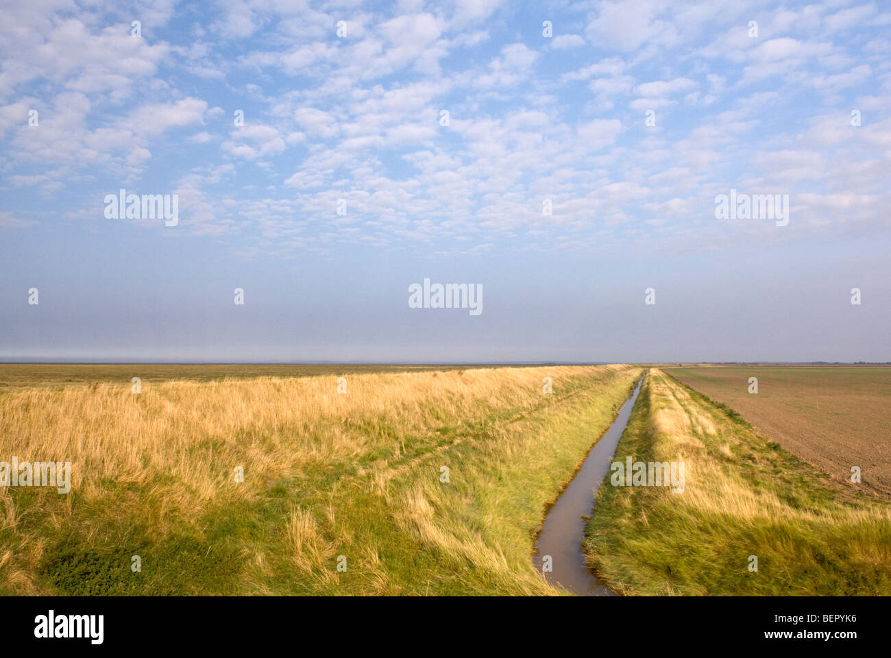 An agricultural flood control drainage ditch, Lincolnshire, England ...