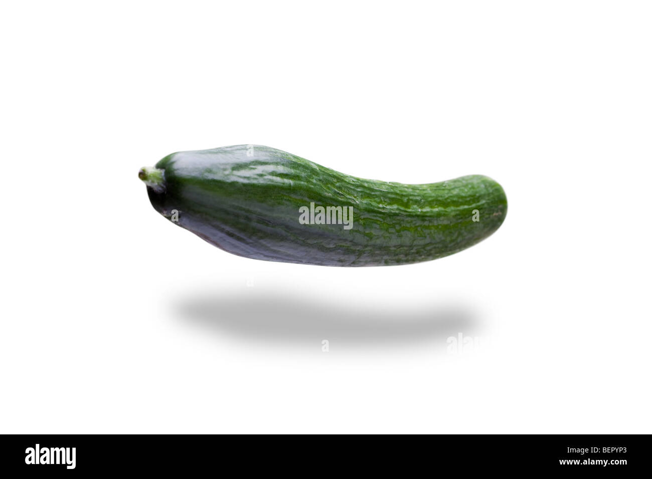 Floating cucumber on white background with shadow under it Stock Photo ...
