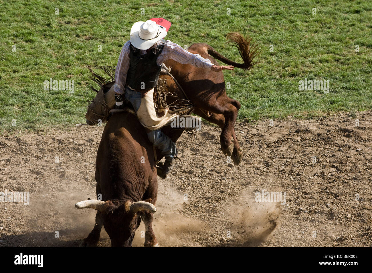 Cowboy wrangler riding in ranch hi-res stock photography and images - Alamy