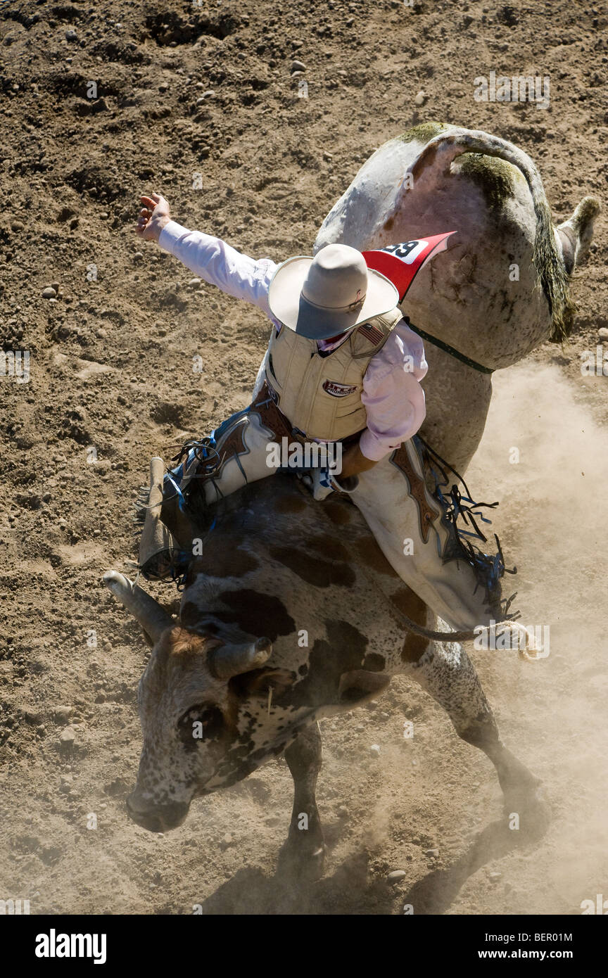 Cowboy wrangler riding in ranch hi-res stock photography and images - Alamy