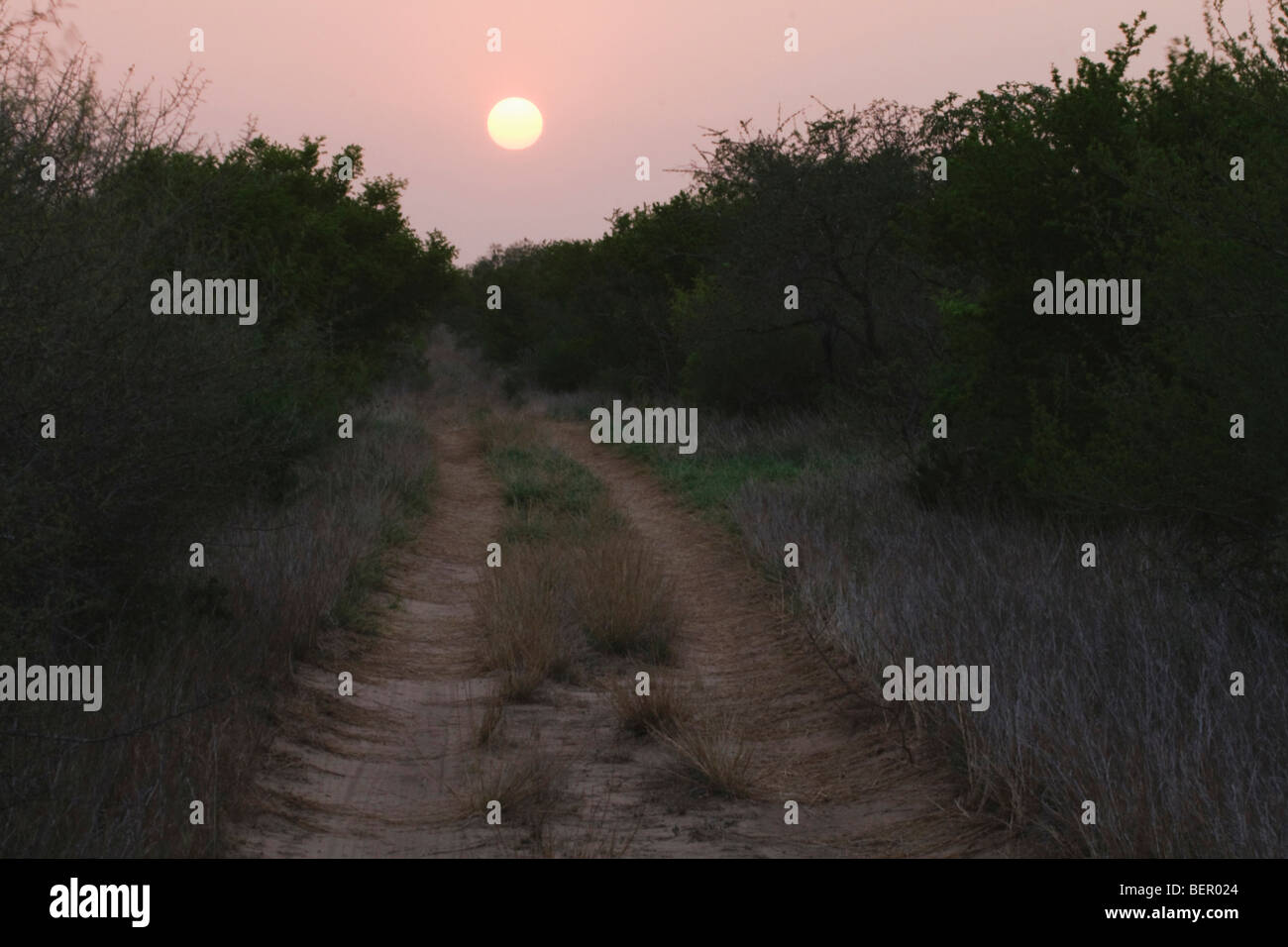 Ranch Road at sunset, Rio Grande Valley,Texas, USA Stock Photo - Alamy