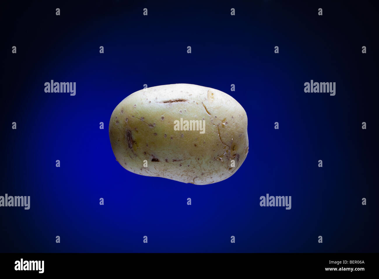 Floating potato on colorful blue background Stock Photo - Alamy