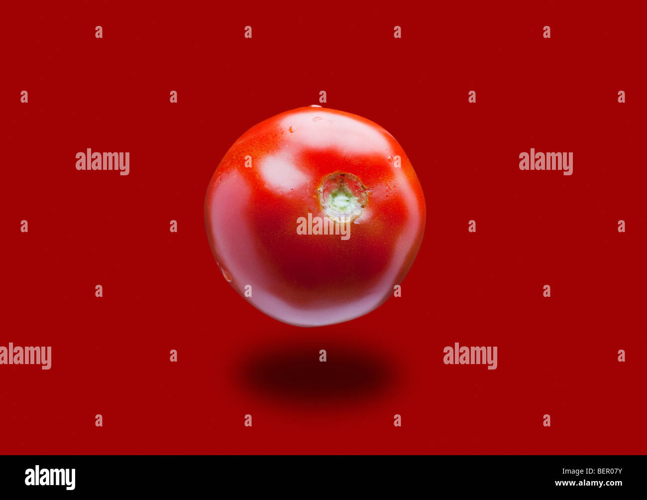 Nice tomato hi-res stock photography and images - Alamy