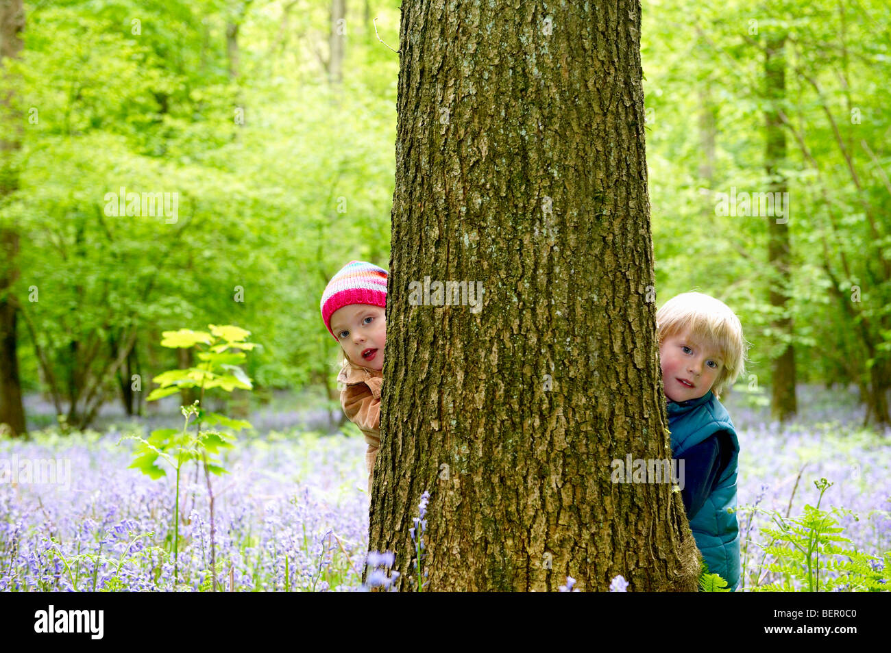 Child Hiding Behind Tree