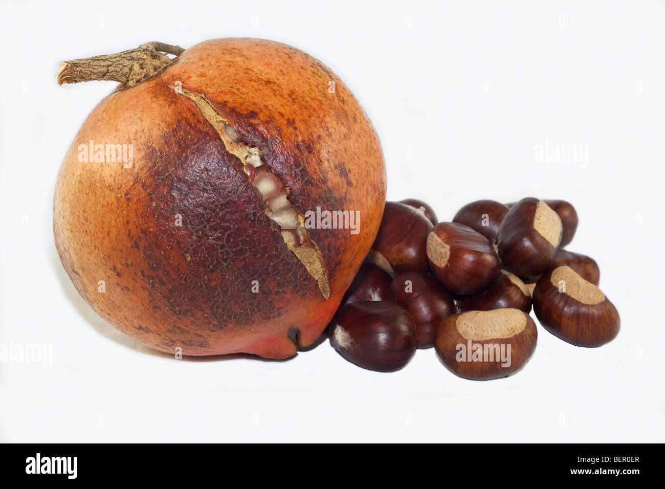 chestnut with pomegranate white back ground Stock Photo - Alamy
