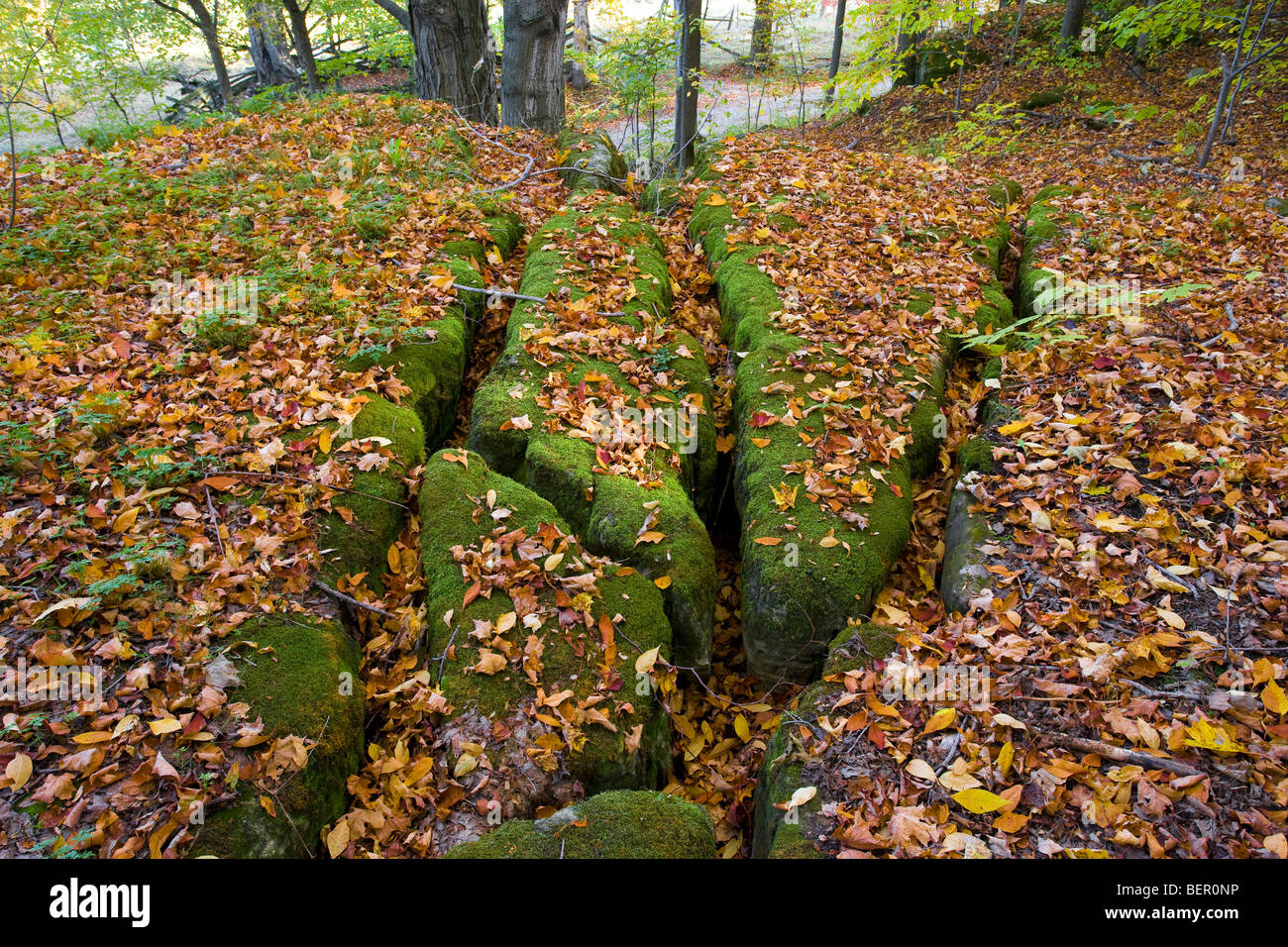 Skinners bluff hi-res stock photography and images - Alamy