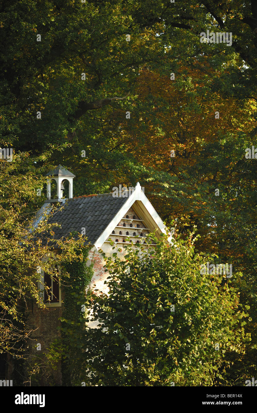A forest in the autumn showing its divers colors Stock Photo - Alamy