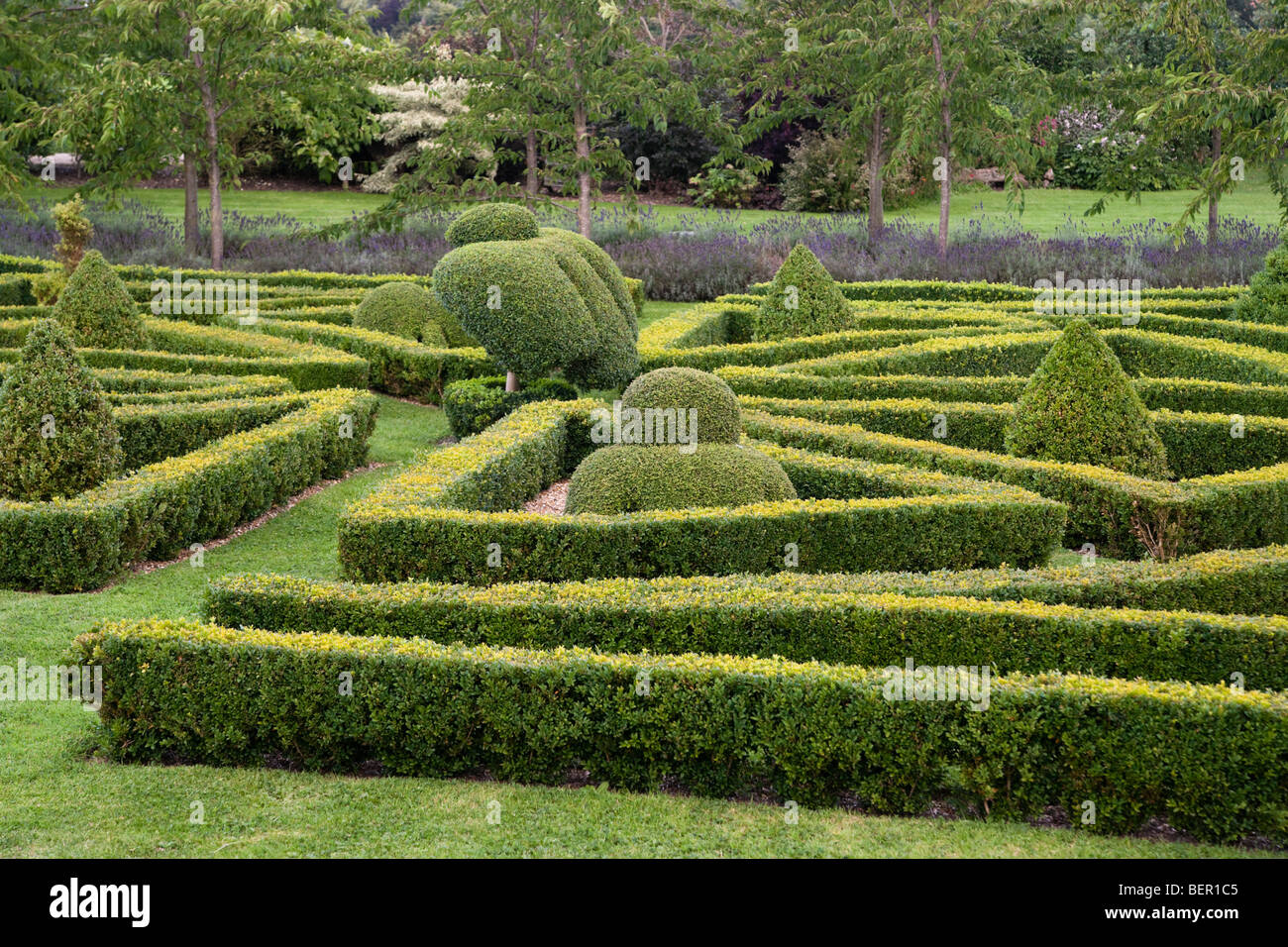 Topiary maze hi-res stock photography and images - Alamy