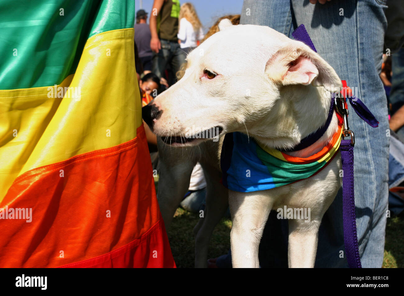 Pride parade colors hi-res stock photography and images - Alamy