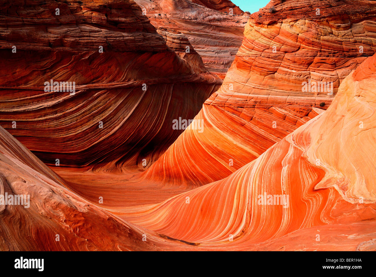 Coyote Buttes North, Vermilion Cliffs, Colorado Plateau, Arizona Stock ...