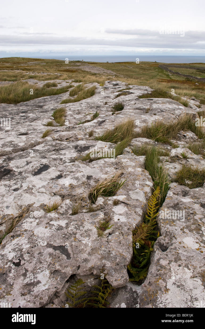 Limestone Pavement Boulders High Resolution Stock Photography and ...