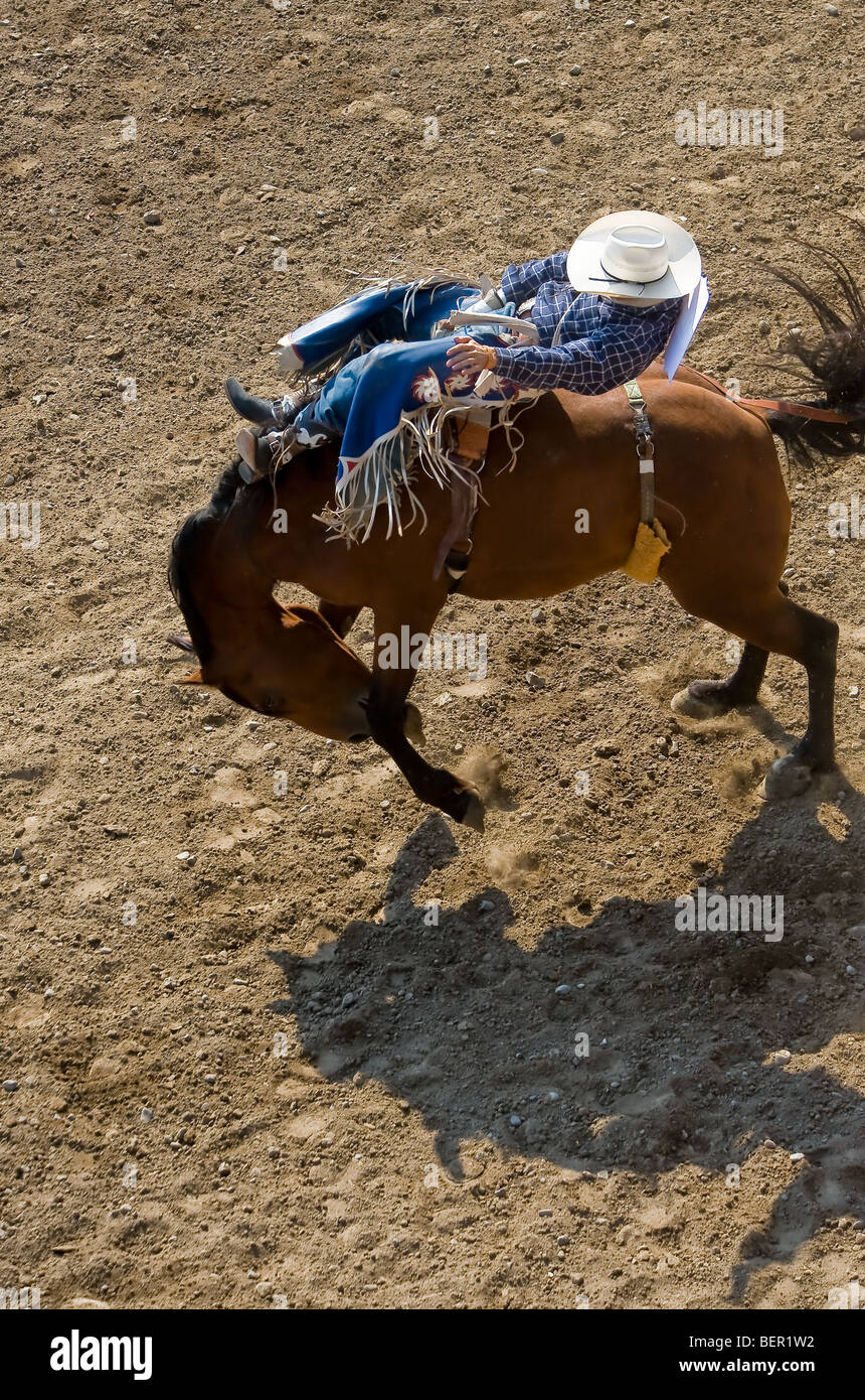 Bronco riding hi-res stock photography and images - Alamy