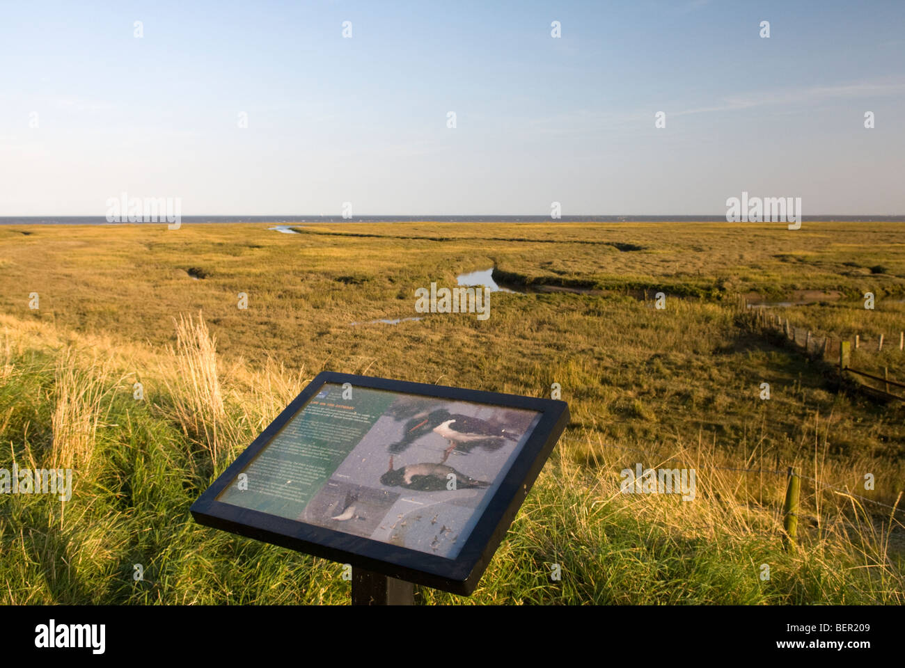 RSPB Freiston Shore nature reserve, The Wash, Lincolnshire, England ...