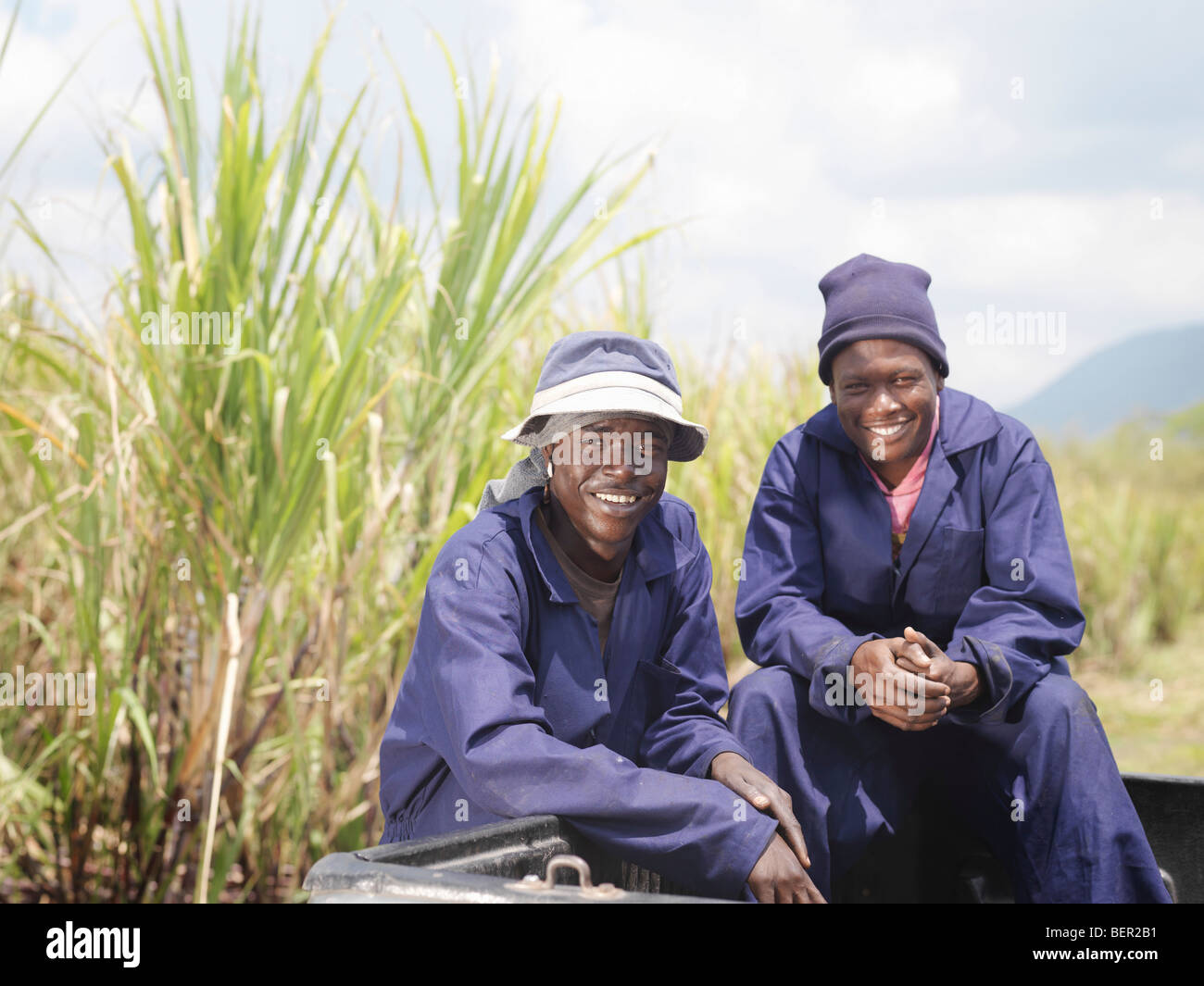 Sugar cane worker hi-res stock photography and images - Alamy