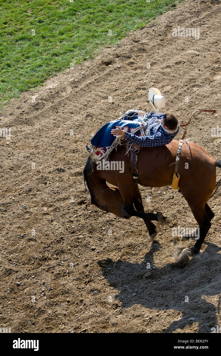 Cowboy on bucking horse hi-res stock photography and images - Alamy