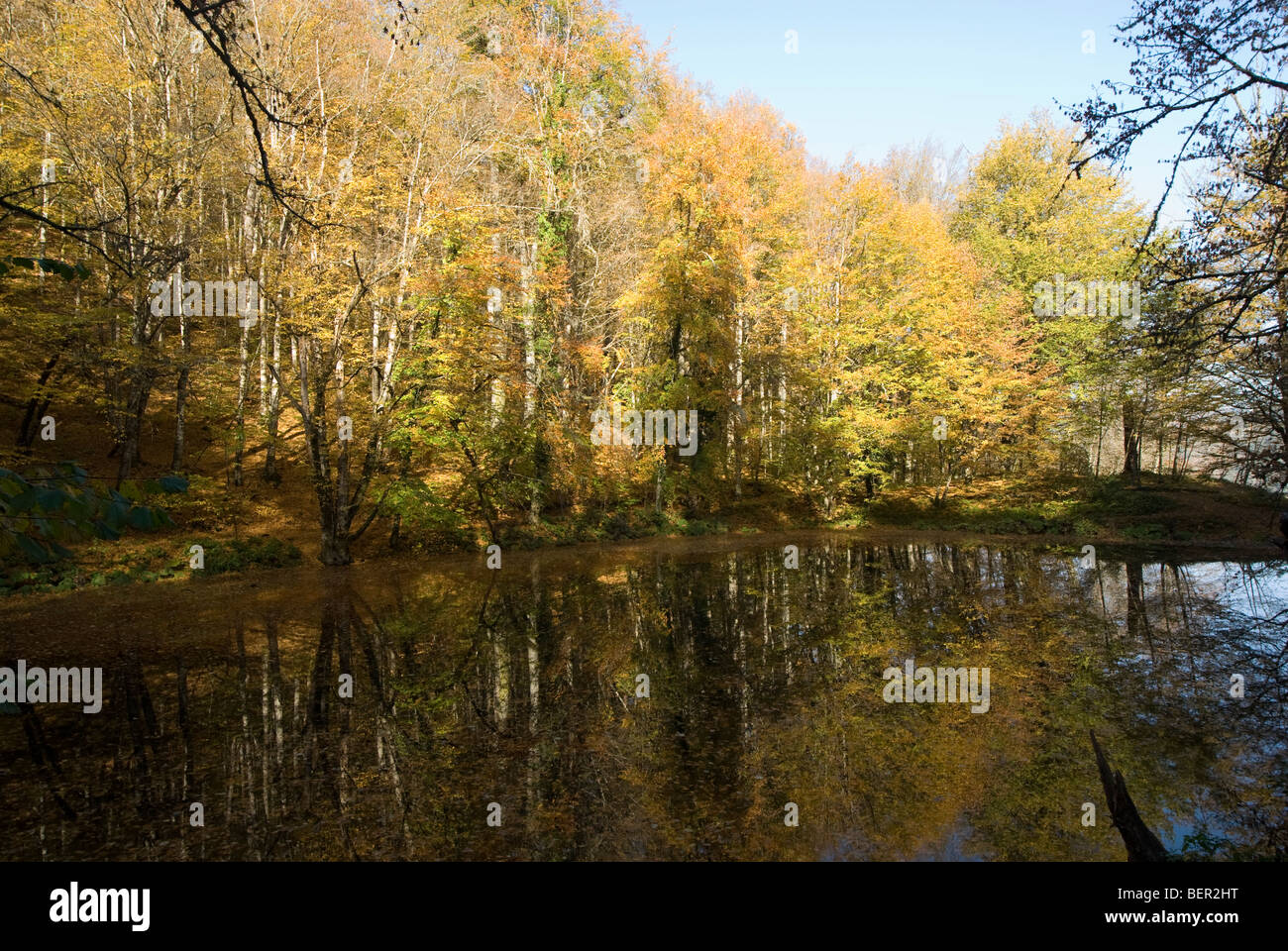 Fall horizontally hi-res stock photography and images - Alamy