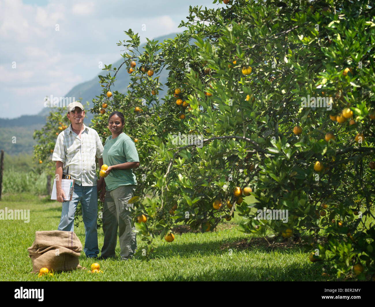African grove hi-res stock photography and images - Alamy