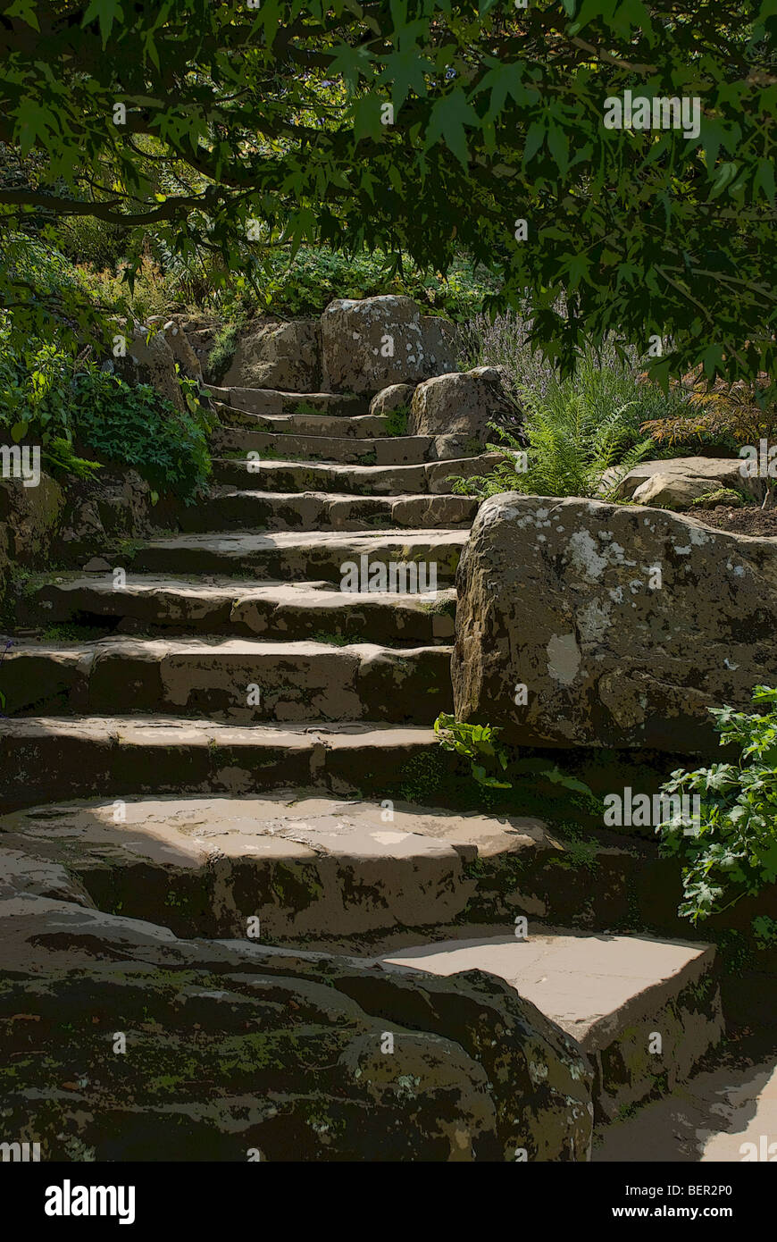 Decending steps hi-res stock photography and images - Alamy