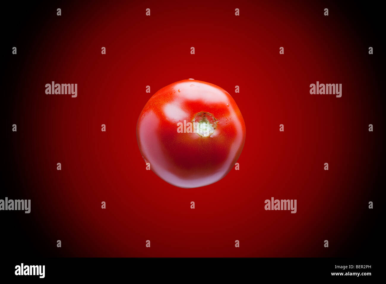 Floating tomato on bright red background Stock Photo - Alamy