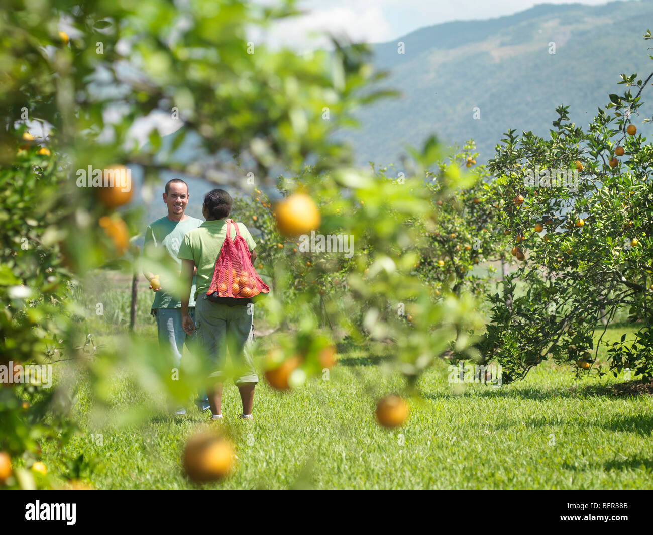 African grove hi-res stock photography and images - Alamy