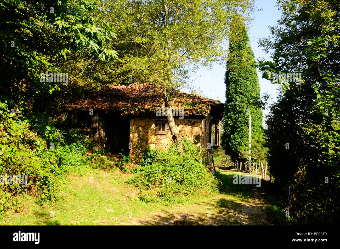 Rural house among trees hi-res stock photography and images - Alamy