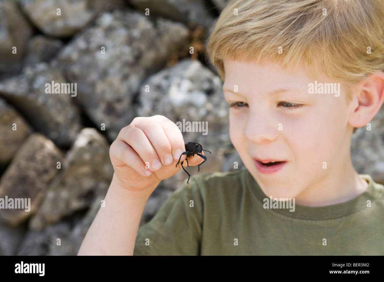 Child holding a beetle hi-res stock photography and images - Alamy