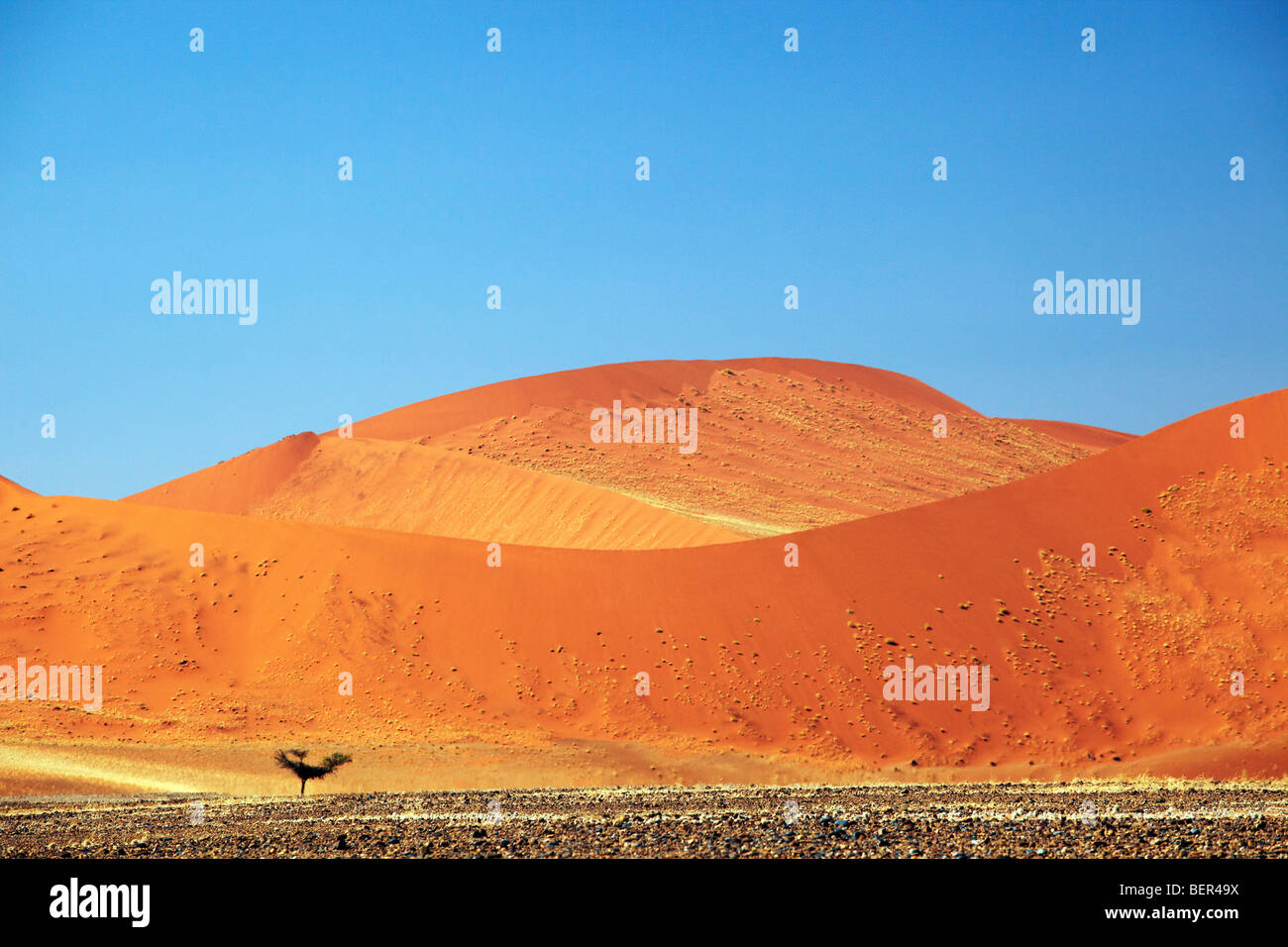 Dunes of desert hi-res stock photography and images - Alamy