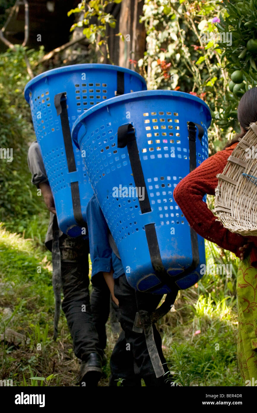 Cane buckets hi-res stock photography and images - Alamy