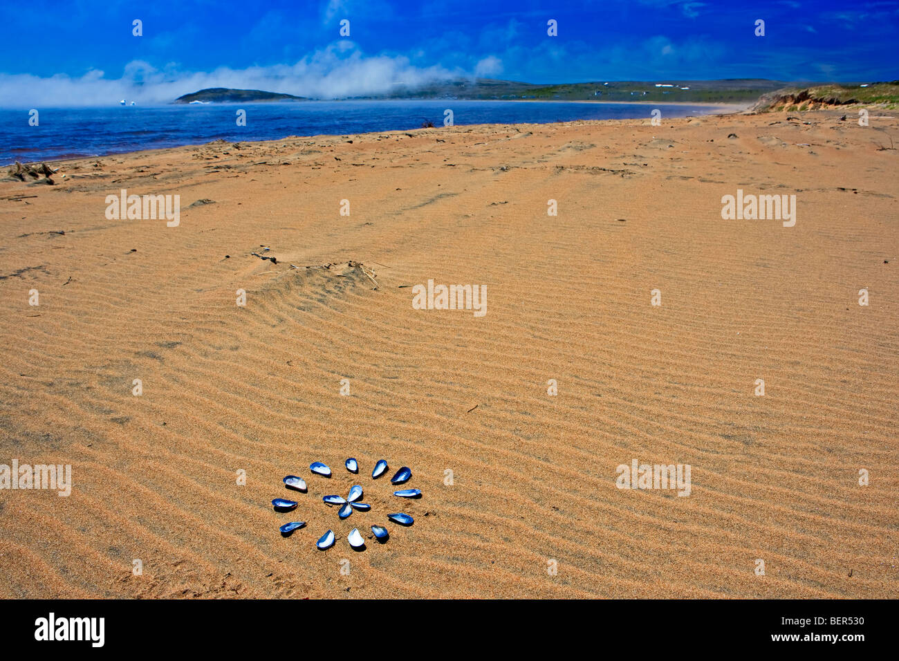 River shells hi-res stock photography and images - Alamy
