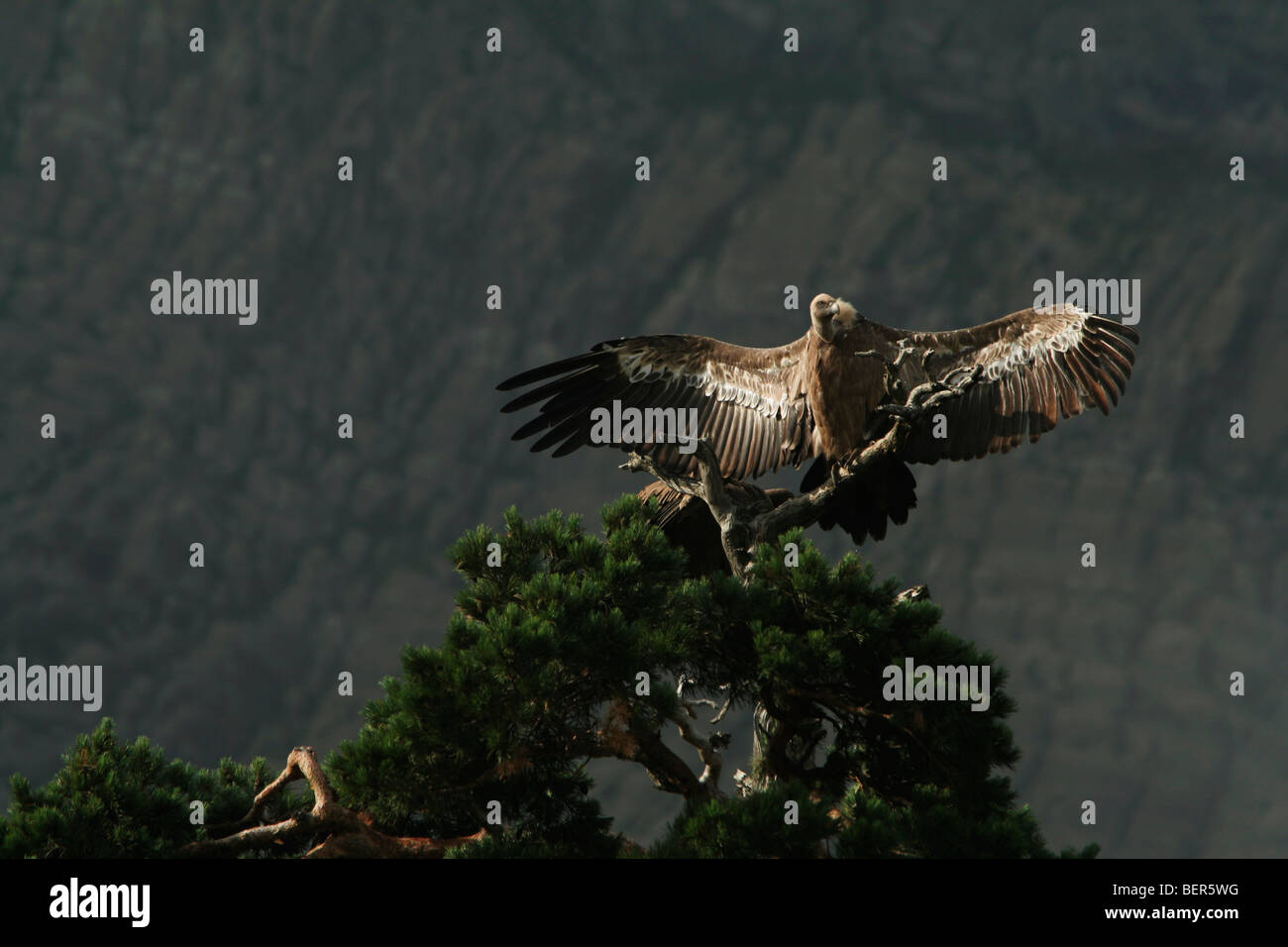 Anso valley hi-res stock photography and images - Alamy