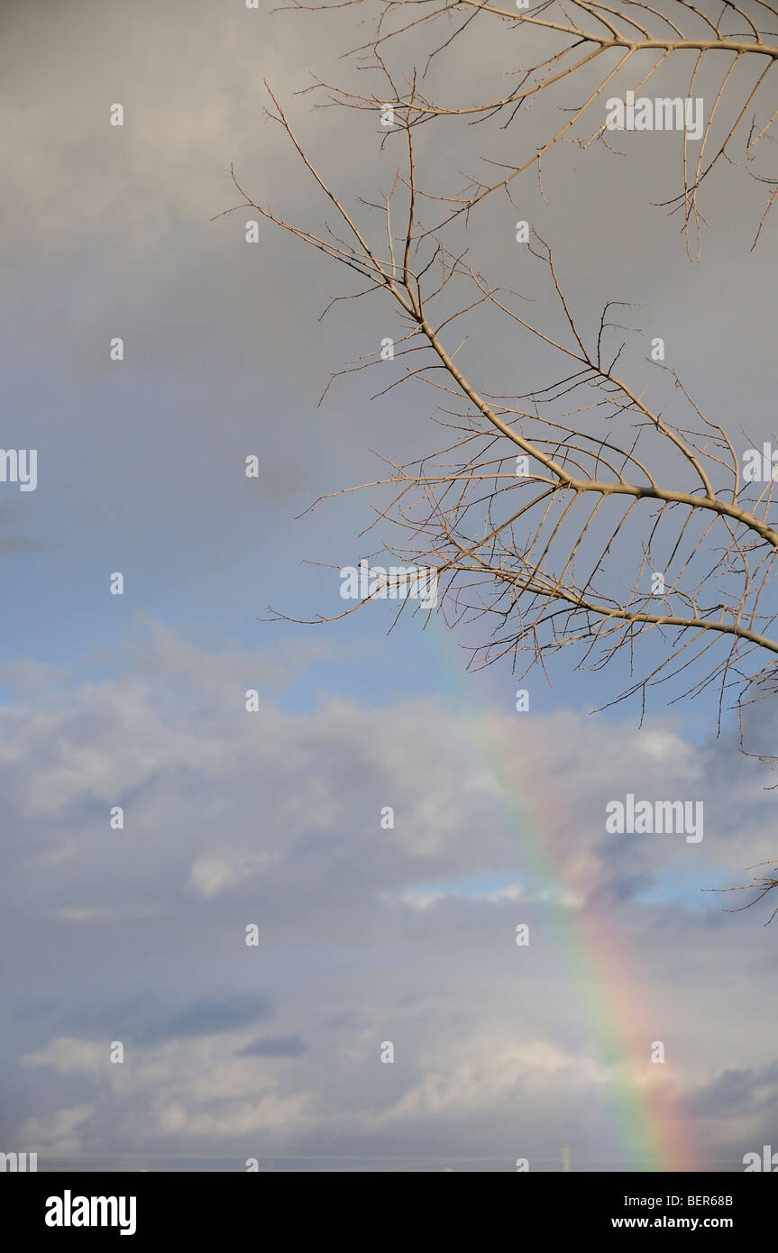 Image of rainbow Stock Photo - Alamy