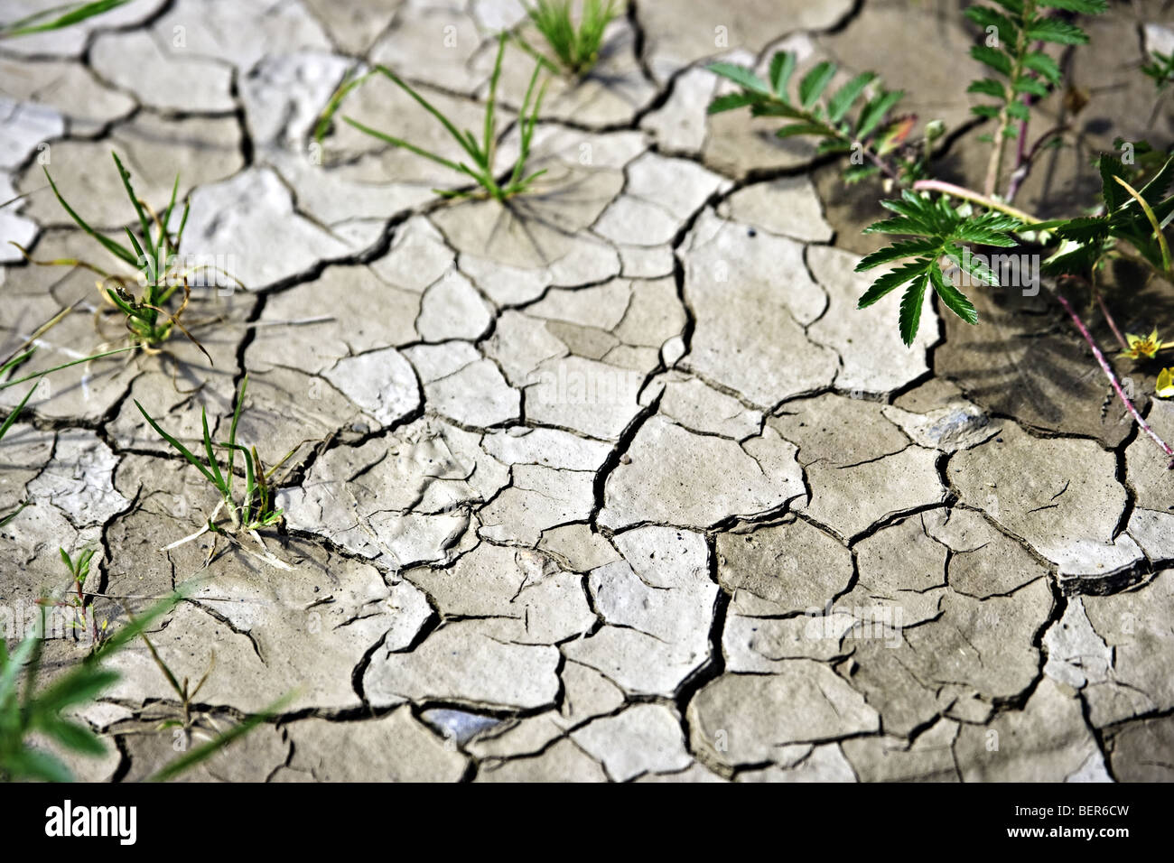 Cracked and sun baked mud formations at the Fortress of Louisbourg ...