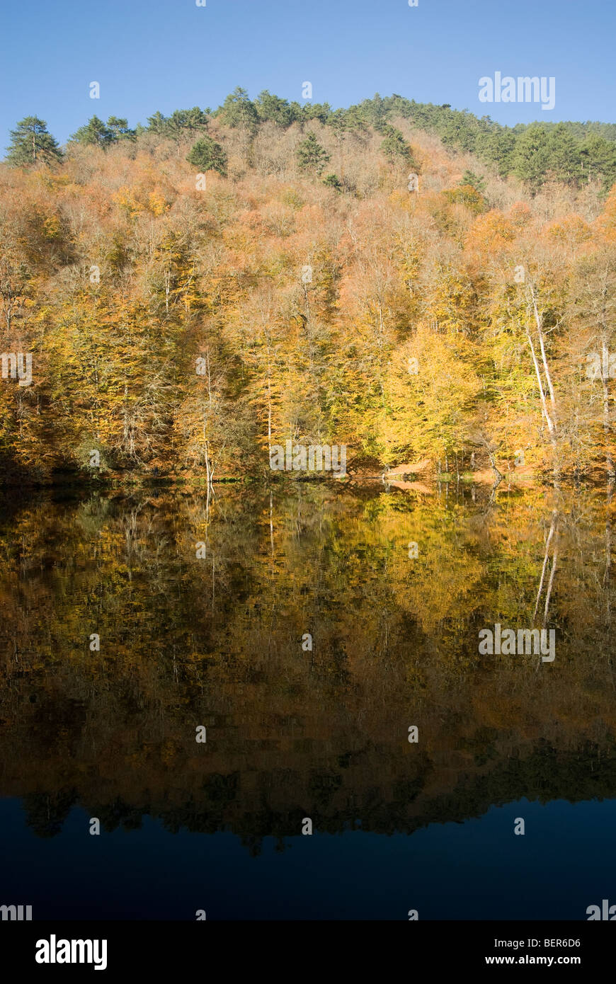 fall in Turkey Stock Photo - Alamy