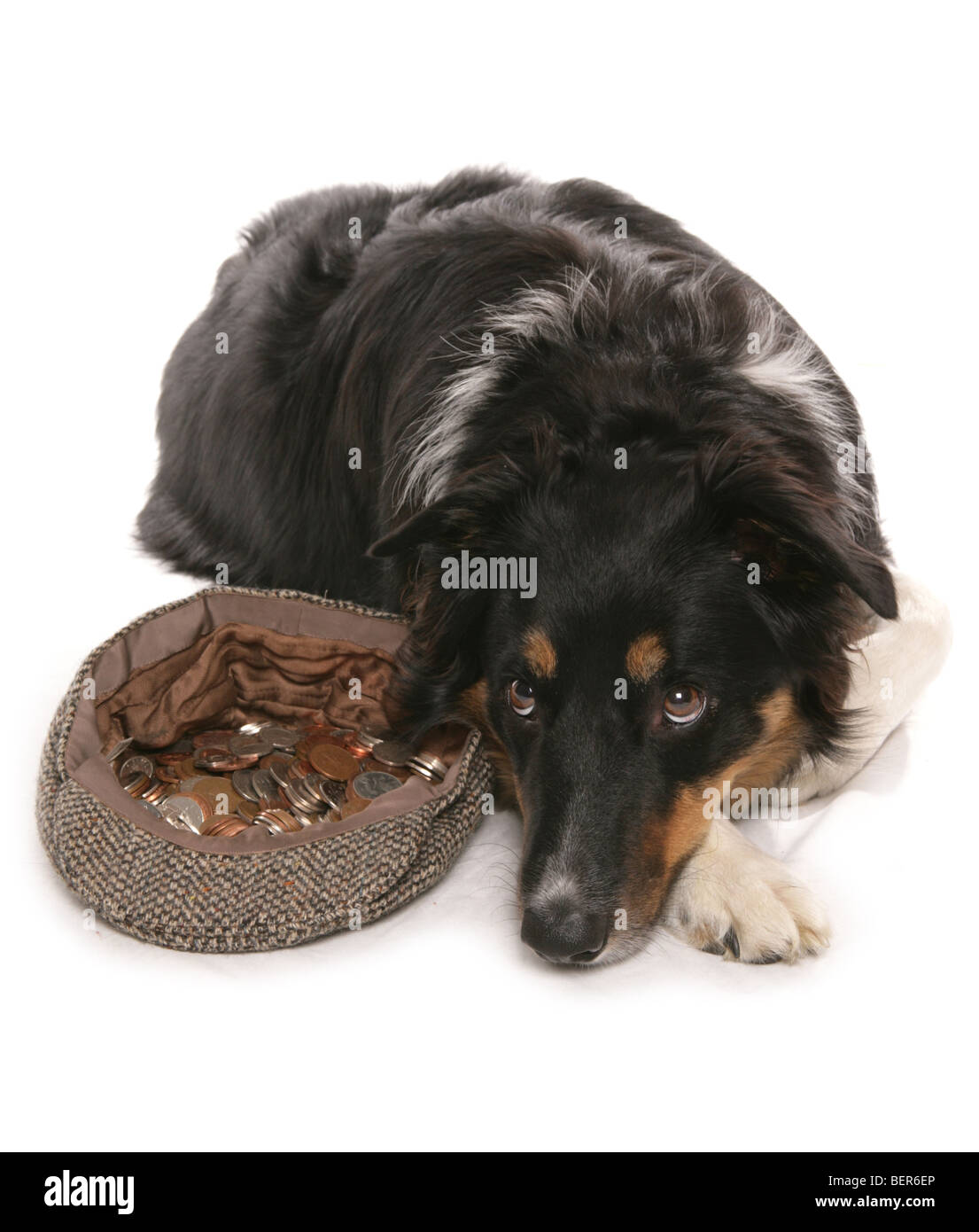 Busking hi-res stock photography and images - Alamy