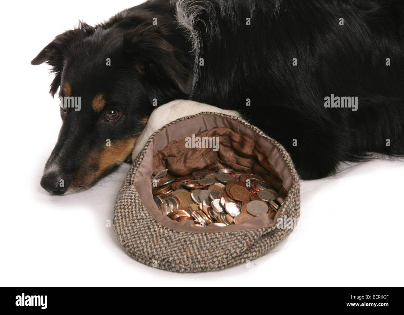 Busking for money hi-res stock photography and images - Alamy