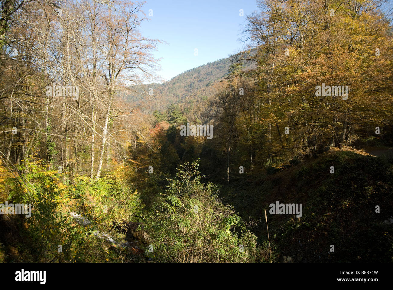 fall in Turkey Stock Photo - Alamy