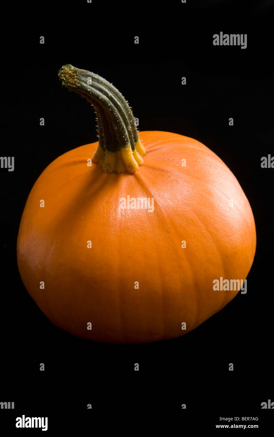 A single orange pumpkin, 'F1 Sunny' on a black background Stock Photo ...