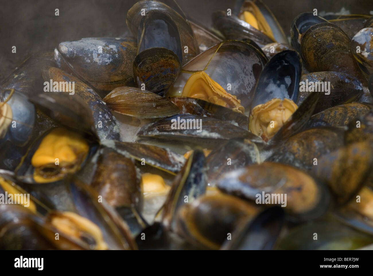 Open mussels hi-res stock photography and images - Alamy