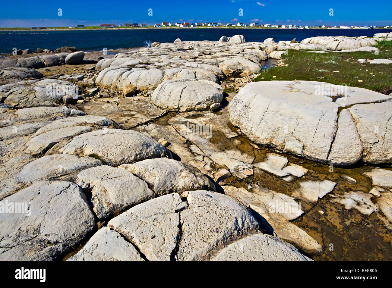 Thrombolites (the earliest forms of primitive life on earth) in Flower ...
